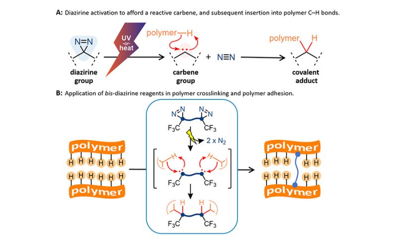 Diazirine-Based Adhesives and Primers Facilitate Bonding
